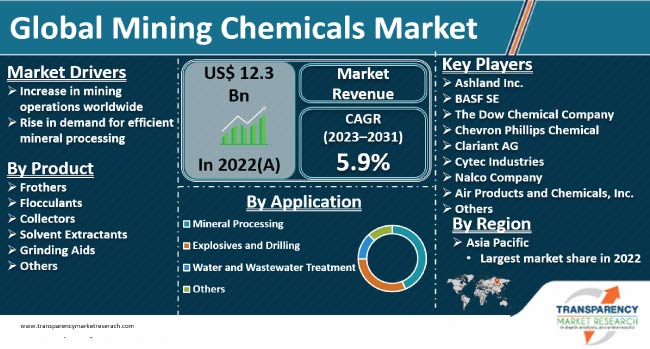 Mining Chemicals Market Growth, Trends and Forecast – 2031