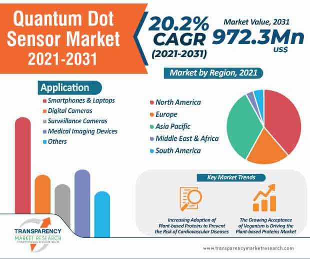 Quantum Dot Sensor Market to Reach US$ 972.3 Mn by 2031 - TMR Quantum Dot Sensor Market to Reach US$ 972.3 Mn by 2031 - TMR